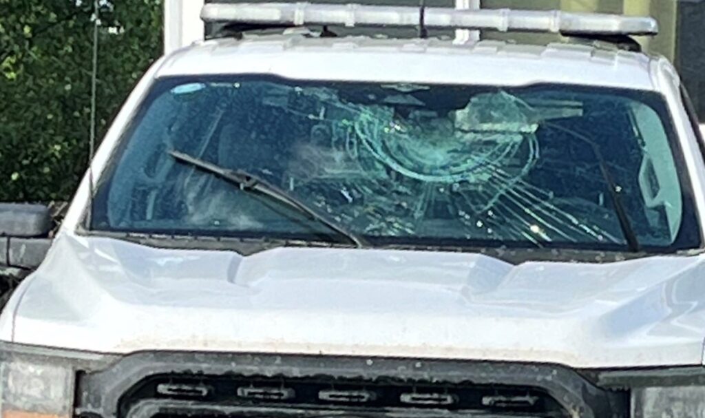 Saskatoon man arrested after violent outburst targeting officers and ...